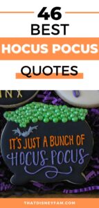 46 Hocus Pocus Quotes That Freakishly Hit The Mark - That Disney Fam