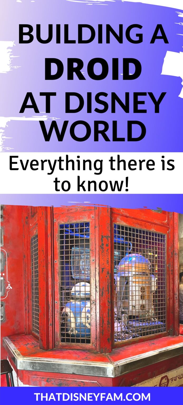 Everything There Is To Know About Building A Droid At Disney World ...