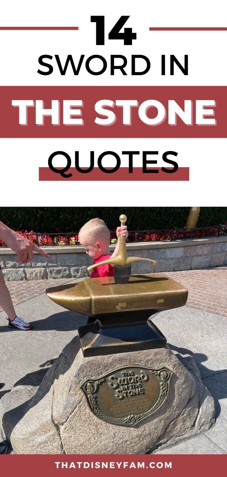 14 Best Quotes From The Sword In The Stone - That Disney Fam