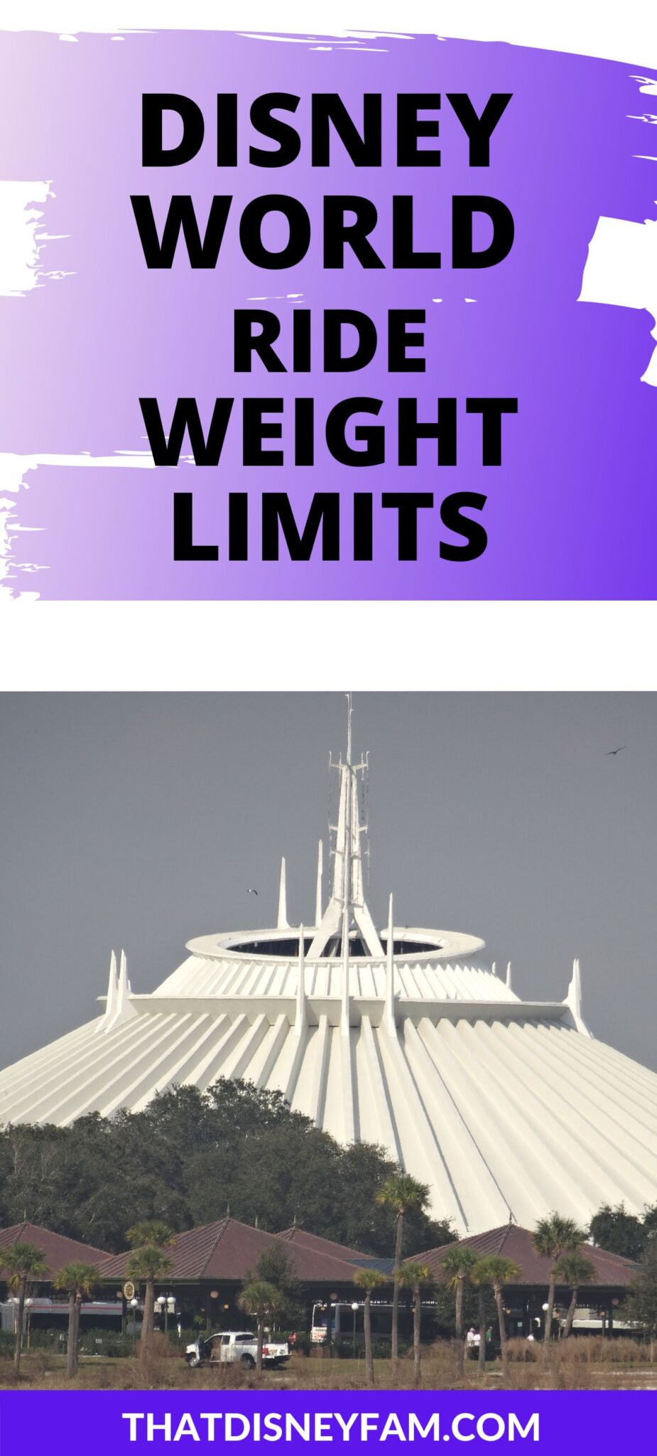 What Are The Disney World Ride Weight Limits? - That Disney Fam