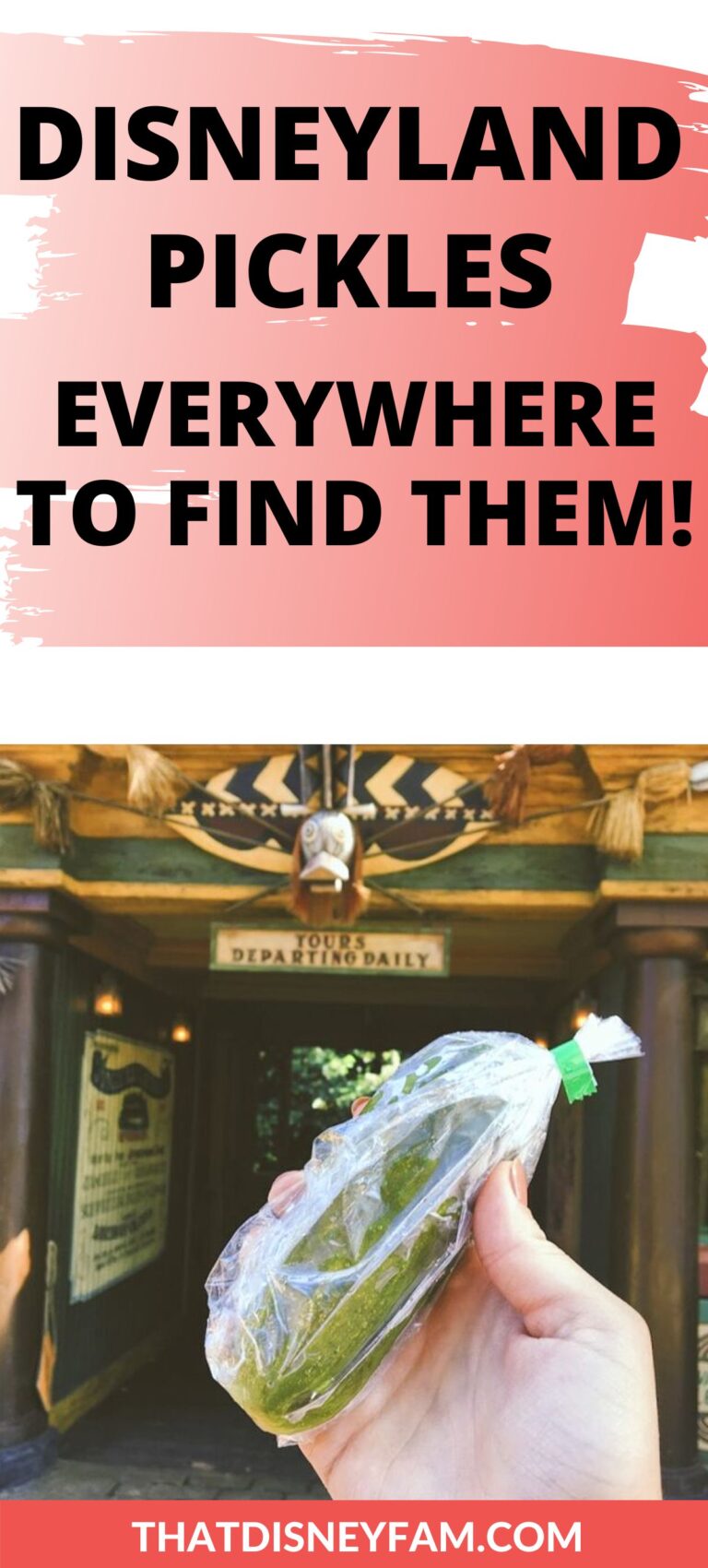 Disneyland Pickles: Where Can You Get Your Hands On Them? - That Disney Fam