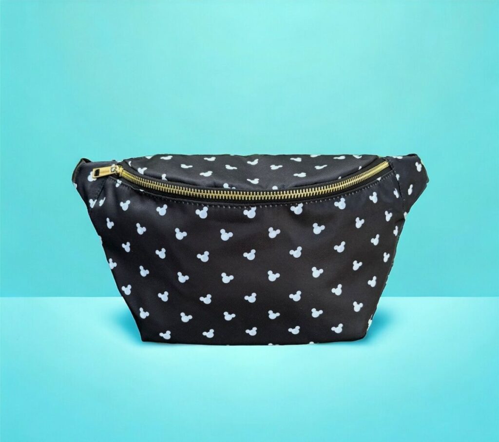 Top 7 Best Fanny Packs For Disney In 2025 - That Disney Fam