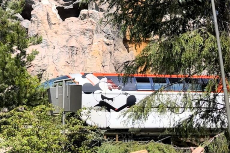 Full List Of Disneyland Ride Closures For January 2025 - That Disney Fam