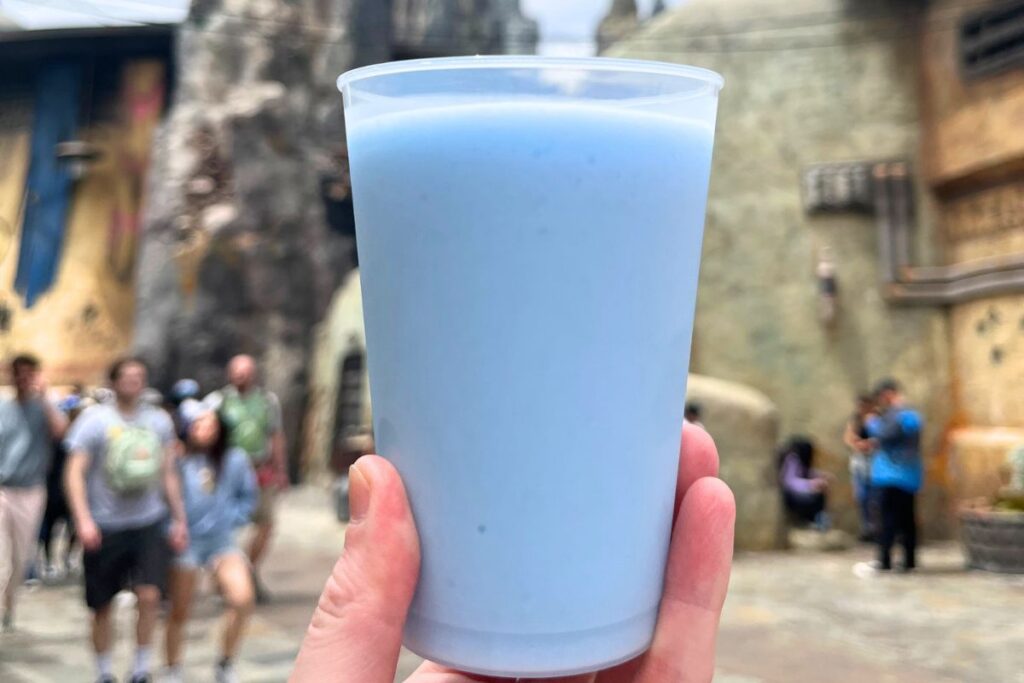 14 Things To Do In Star Wars: Galaxy's Edge In Disneyland - That Disney Fam
