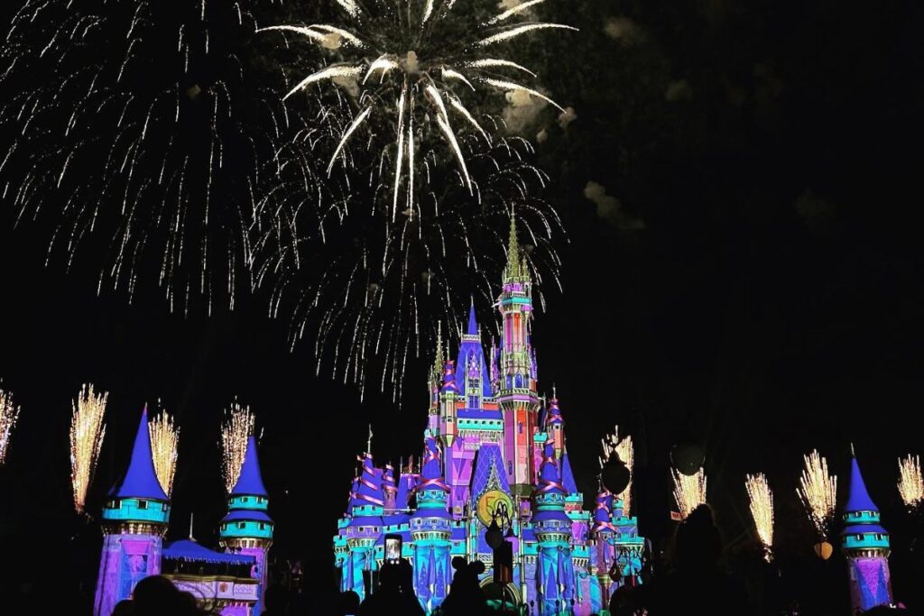 17 Things To Know If You're Going To Disney World In December 2025 ...