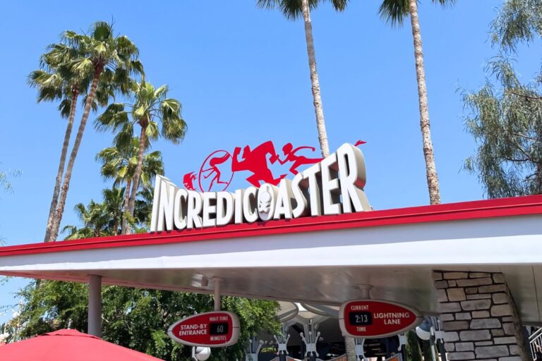 14 Disneyland Rides With The Highest Wait Times - That Disney Fam