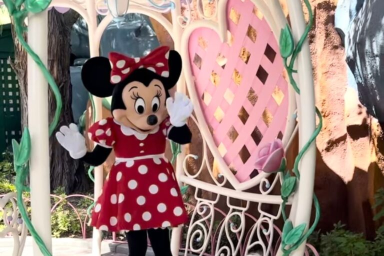 20 Fun Things To Do In Disneyland With Kids - That Disney Fam