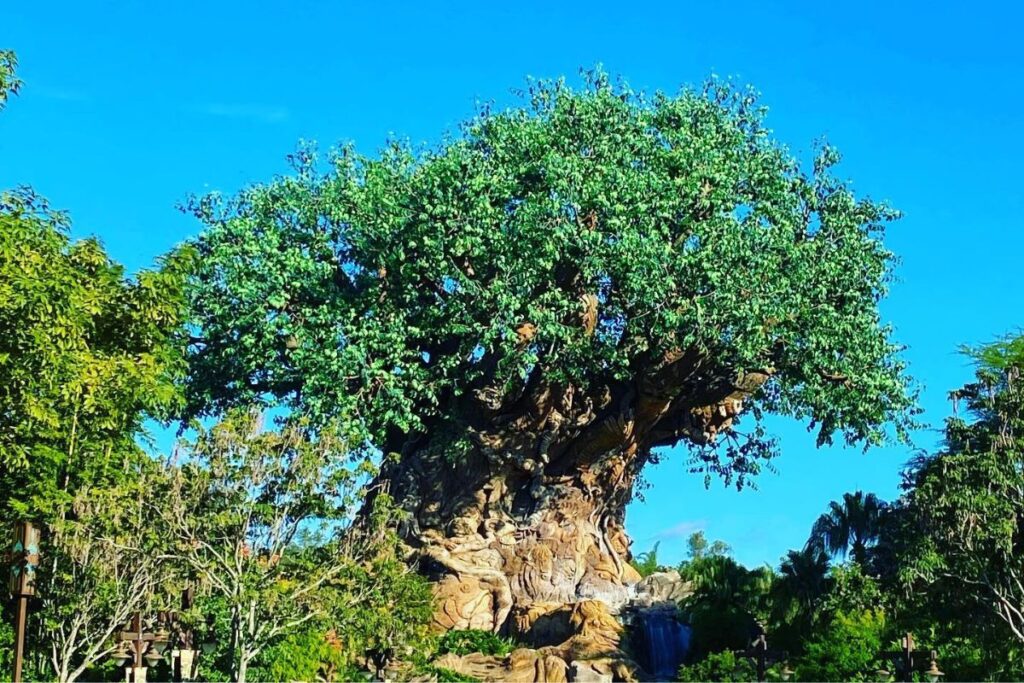 12 Tallest Structures At Disney World - That Disney Fam