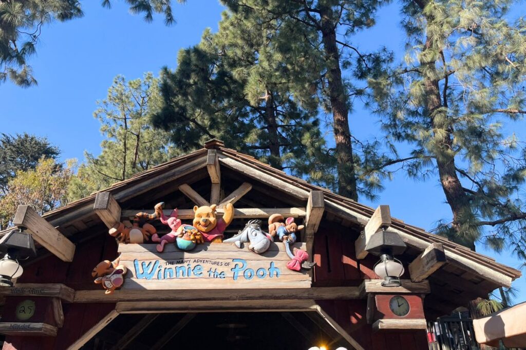 15 Dark Rides At Disney World - That Disney Fam